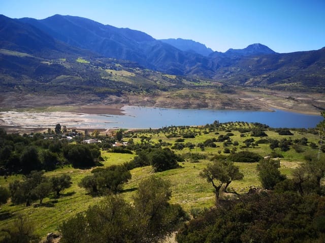 50 Has Farm, Farmhouse to be renovated, next to Pantano Zahara, Olive ...